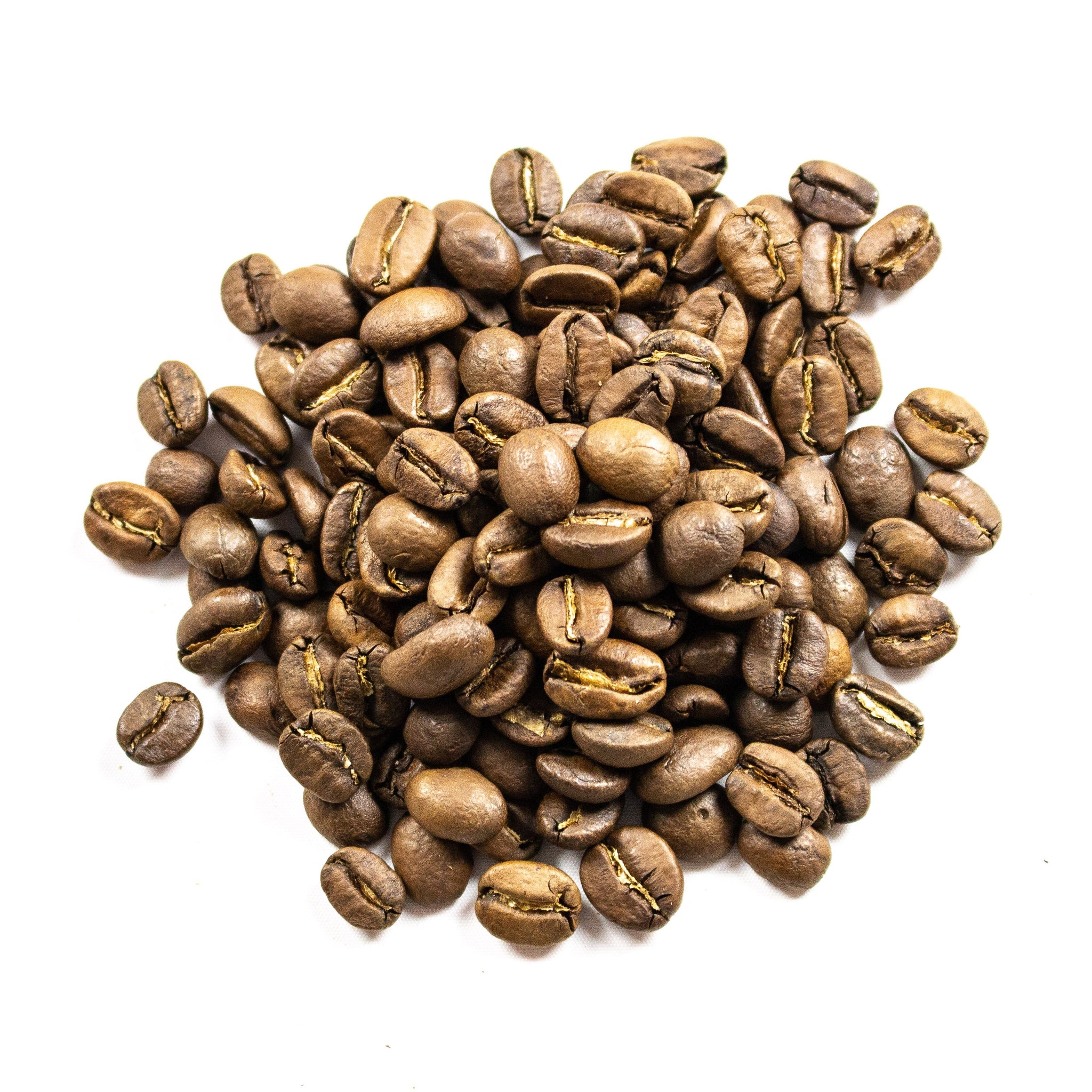 Sundance Canyon - Medium, Rainforest Coffee – Banff Roasting Company Ltd.